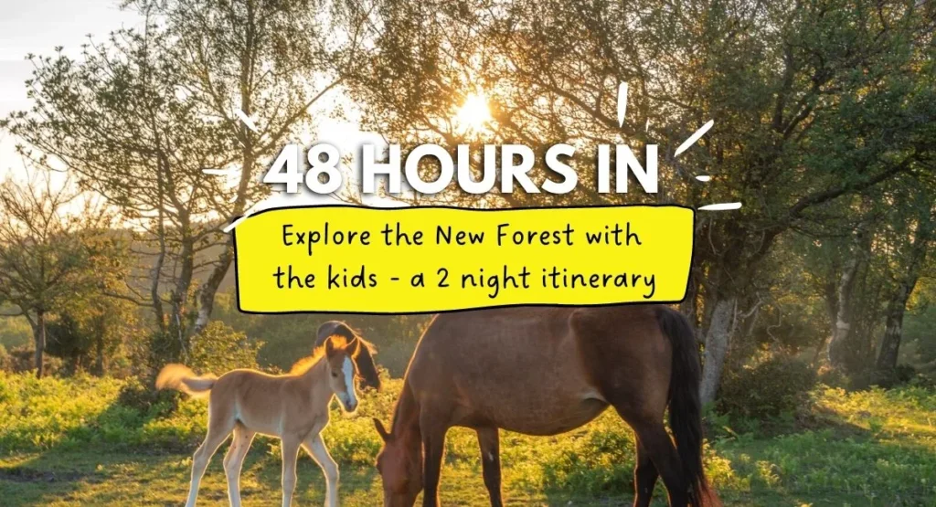 48 hours in - what to do in the New Forest with kids over 2 days ...