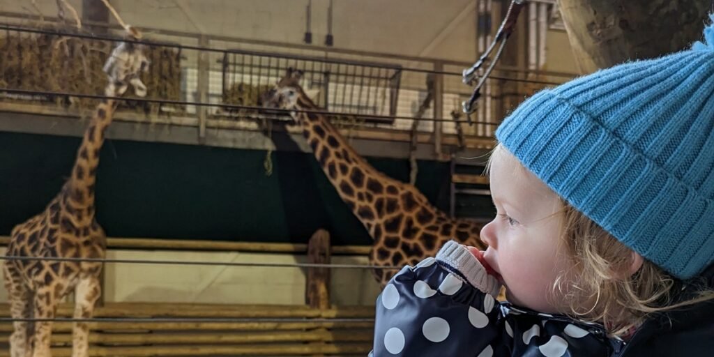 12 of the best animal attractions near Hampshire - girlabouttravel.co.uk